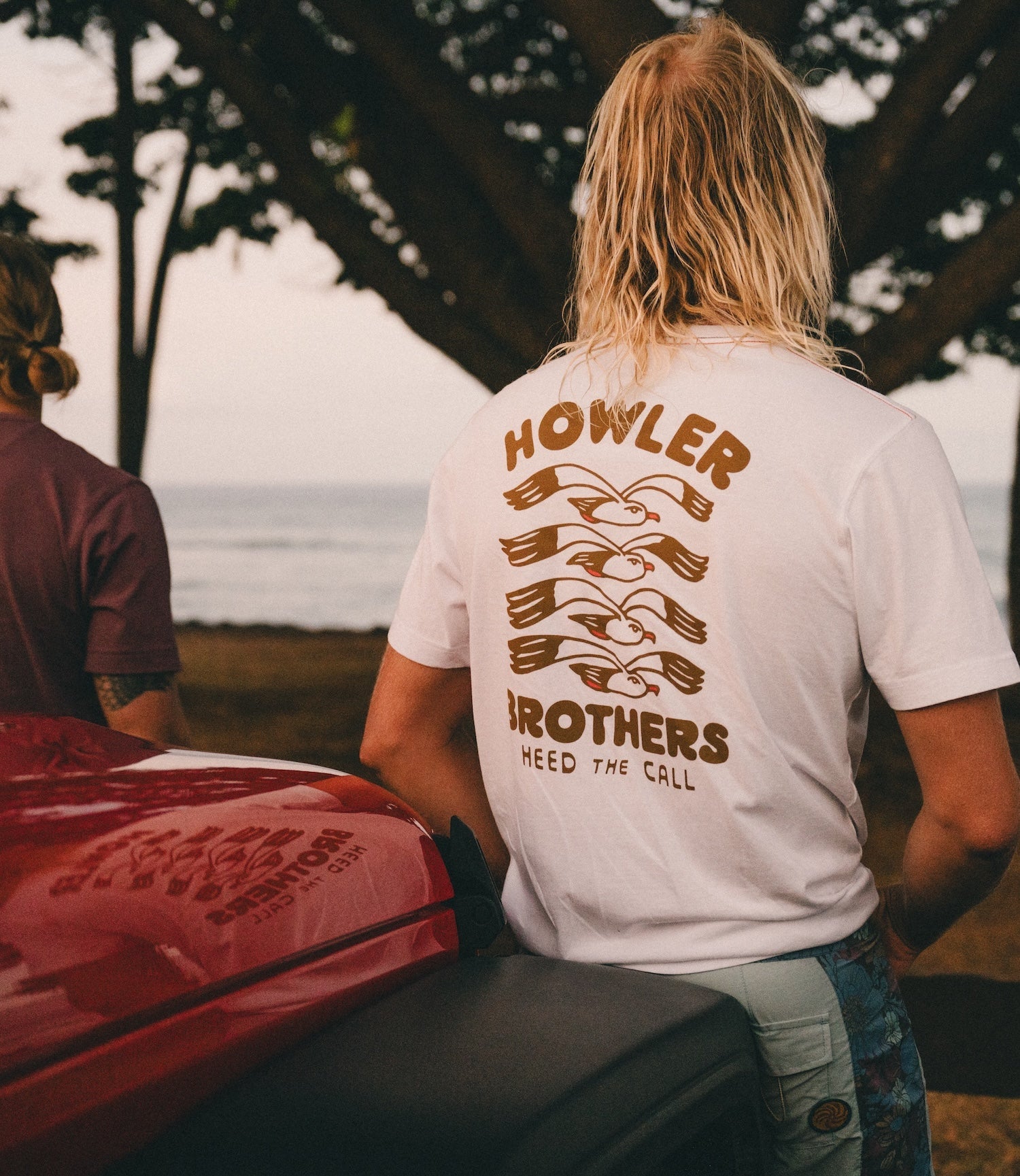 Flocka Seagulls – HOWLER BROTHERS