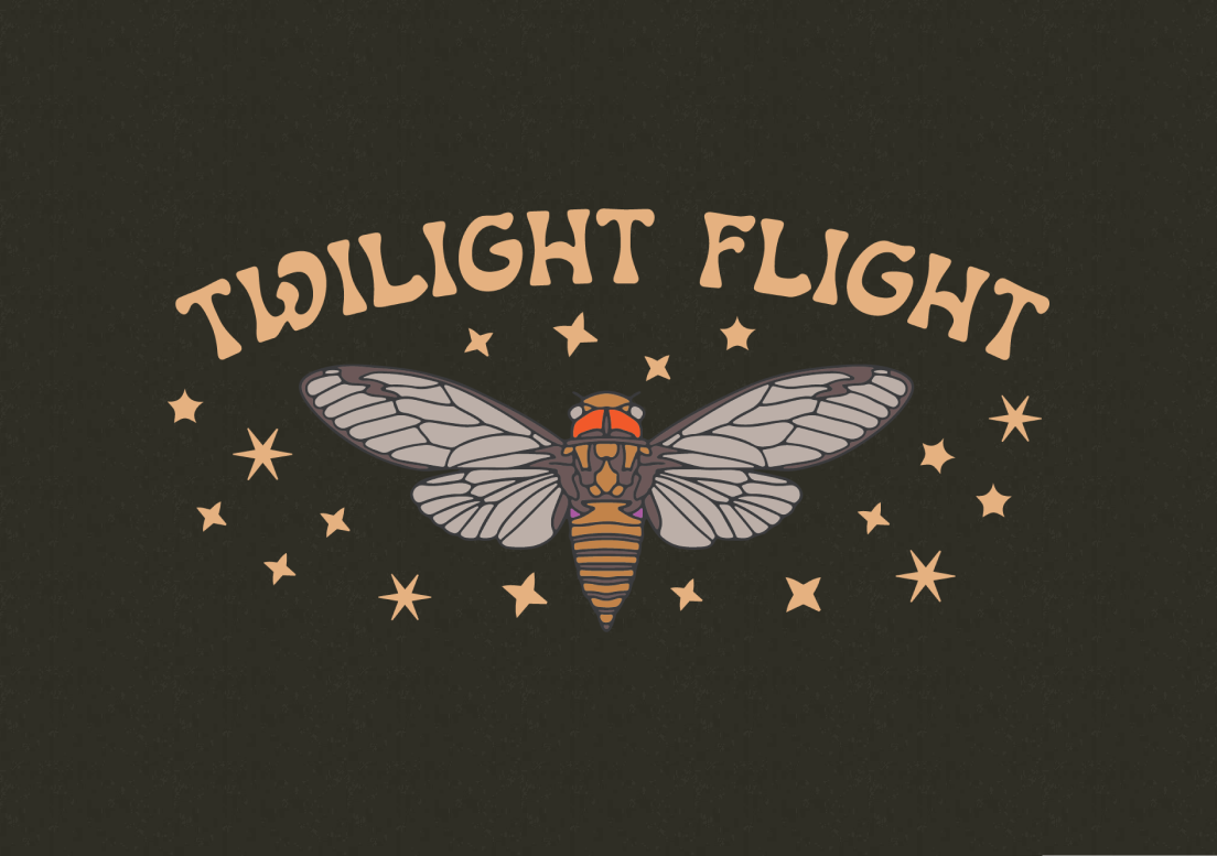 Twilight Flight – HOWLER BROTHERS