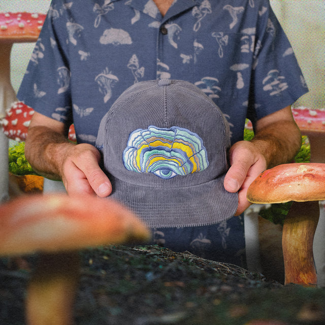 Howler Brothers Hats – HOWLER BROTHERS